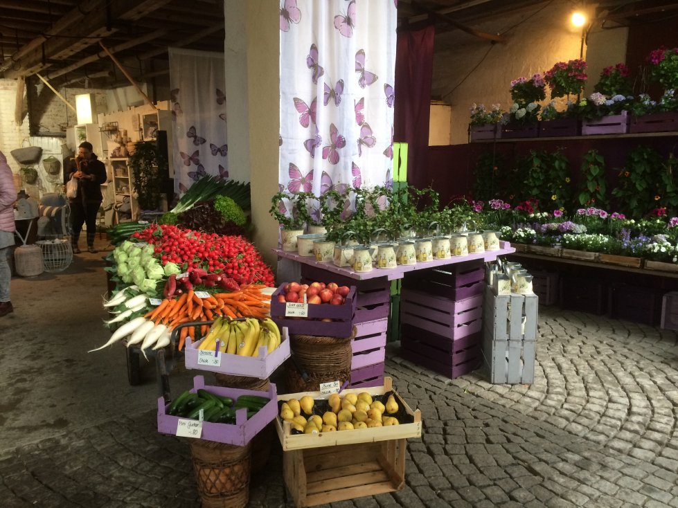 Blumen Viola - Floristik - Gärtnerei - Friedberg